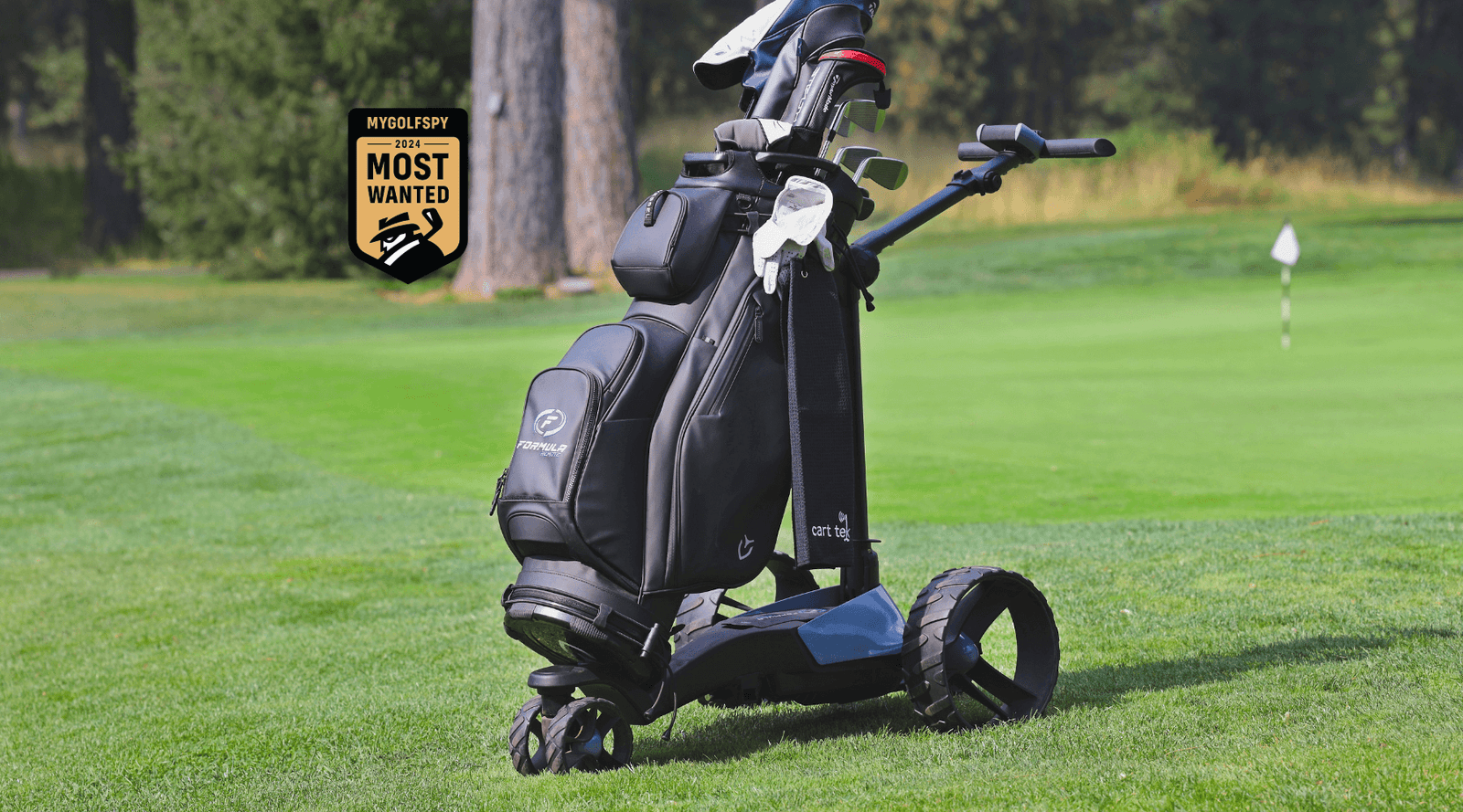 Premium Electric & Remote Golf Push Carts | Designed in USA | CartTek ...