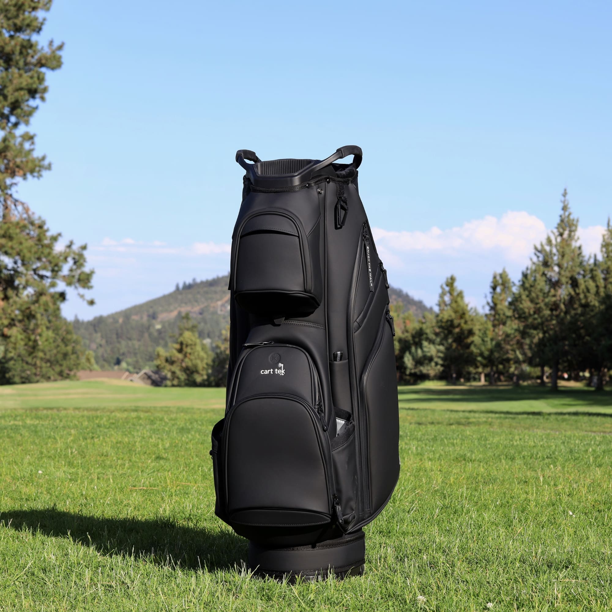 Premium Electric & Remote Golf Push Carts | Designed in USA | CartTek ...