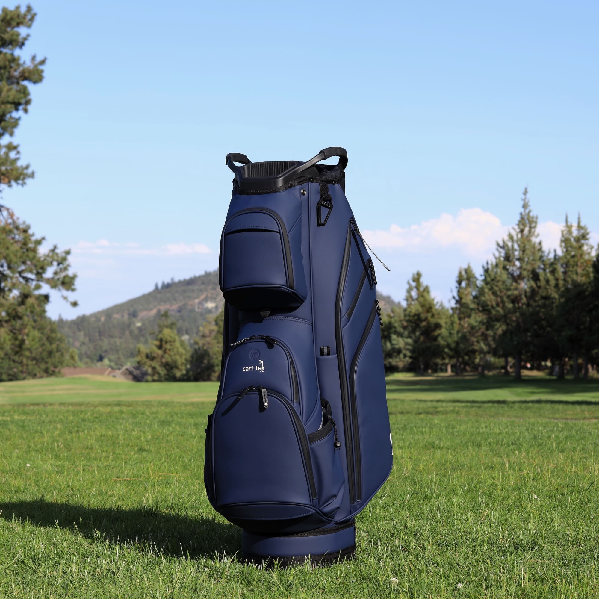 Premium Electric & Remote Golf Push Carts | Designed in USA | CartTek ...